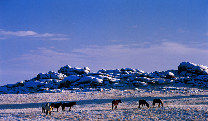 “出道”即巅峰！10065公里的G219线，满足你对自驾的所有想象！ - 知乎