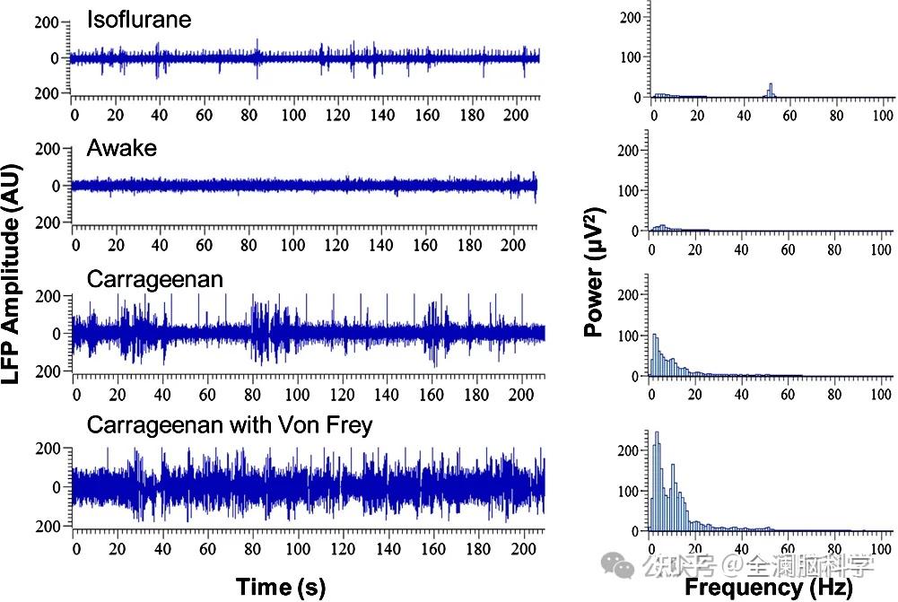 LFP 局部场电位简介（二） - 知乎