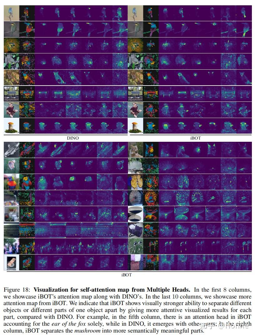 【论文精读】IBOT - 知乎