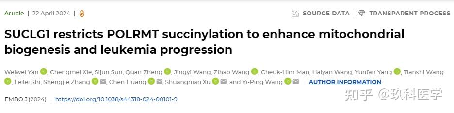IF=11.4 一区！SUCLG1 限制 POLRMT 琥珀酰化以增强线粒体生物发生和白血病进展 - 知乎