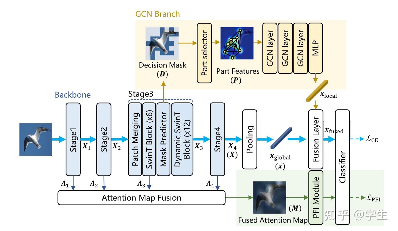 文献阅读 FET-FGVC: Feature-enhanced transformer for fine-grained visual ...