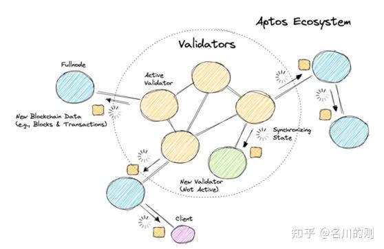 全方位解读公链项目Aptos - 知乎