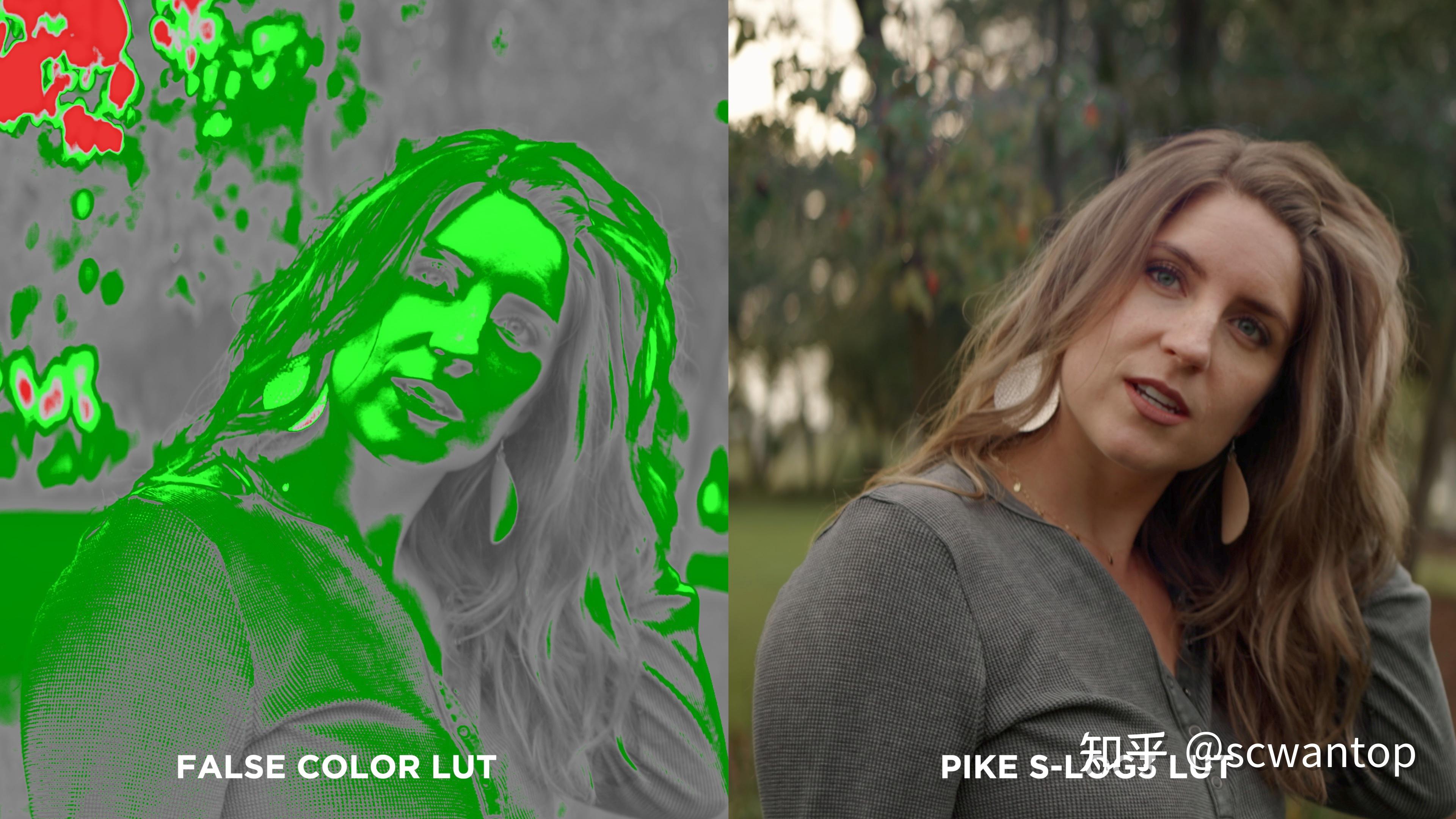 热门索尼S-LOG3色彩还原、假色、风格化电影制片人色彩分级LUTs调色预设 Sony S-Log3 Pike LUT Pack – DSLR Video Shooter - 知乎