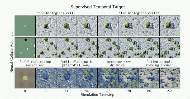大模型版生命游戏来了!「AI科学家」背后公司联手MIT&OpenAI等打造 - 知乎
