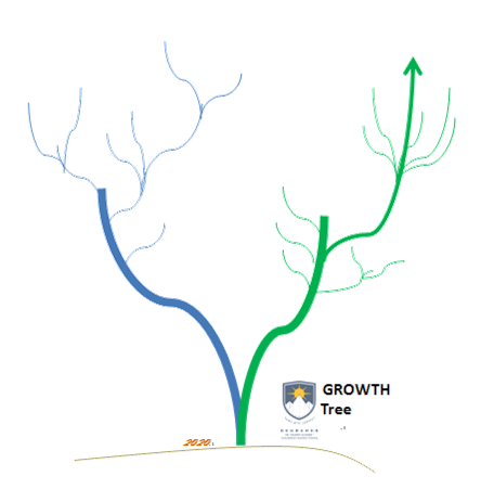 增长的逻辑 - 知乎