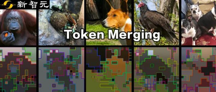 加速ViT模型新思路！Meta推出Token Merging，不靠剪枝靠合并 - 知乎