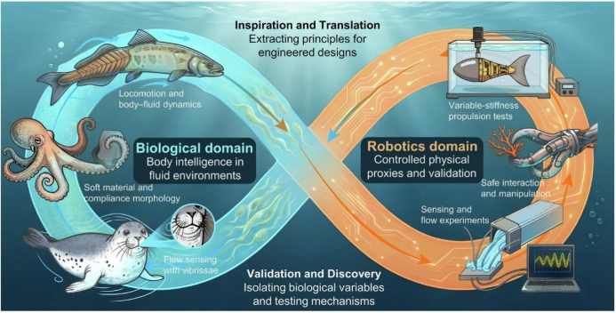 北京大学喻俊志教授团队综述论文发表于nature 合作期刊《npj robotics》 - 知乎