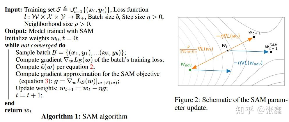 SAM解析（附代码）：Sharpness-Aware Minimization for Efficiently Improving Generalization - 知乎