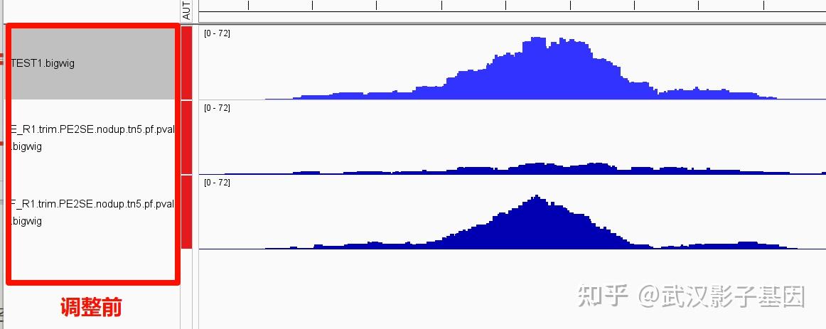 IGV使用教程（图文） - 知乎