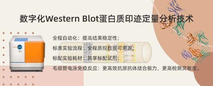 数字化Western Blot蛋白质印迹定量分析技术 - 知乎