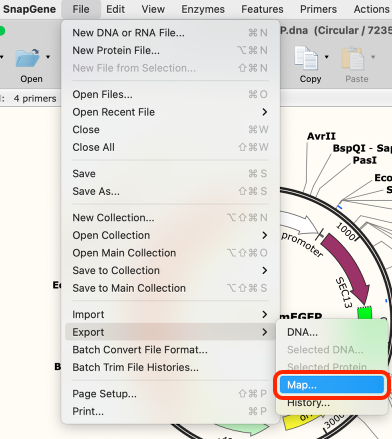 SnapGene如何将DNA、RNA、蛋白质图谱文件导出为图片 - 知乎
