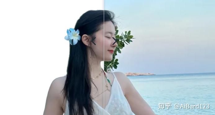 RMBG发布v2.0一键去背景模型效果炸裂；大语言模型的智能视频字幕；生成高质量的虚拟试穿视频Fashion-VDM - 知乎