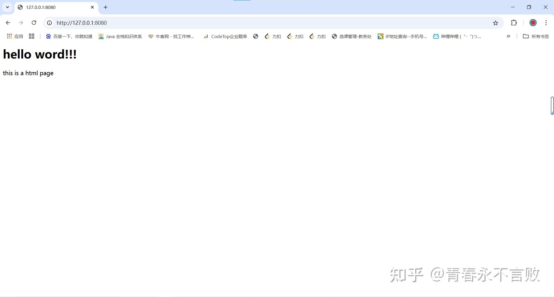 小白快速做计算机毕设01 创建后端springboot项目 知乎
