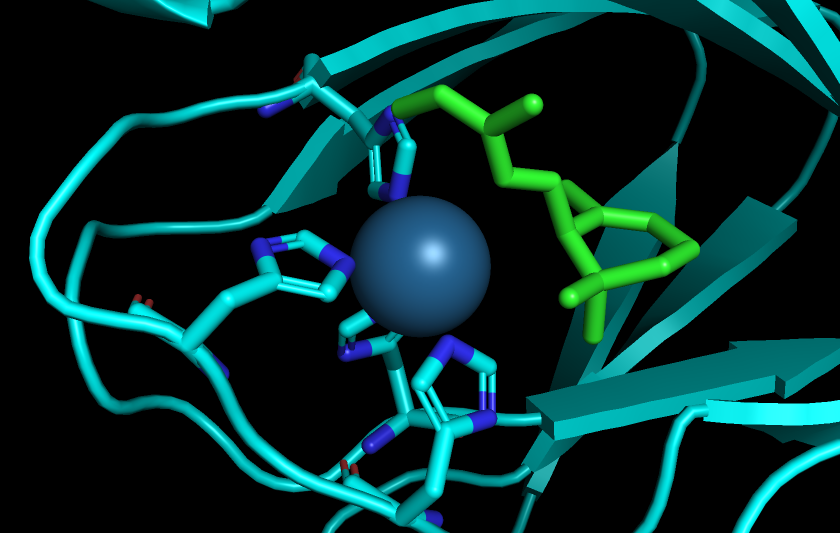 使用AutoDock-GPU进行分子对接 - 知乎