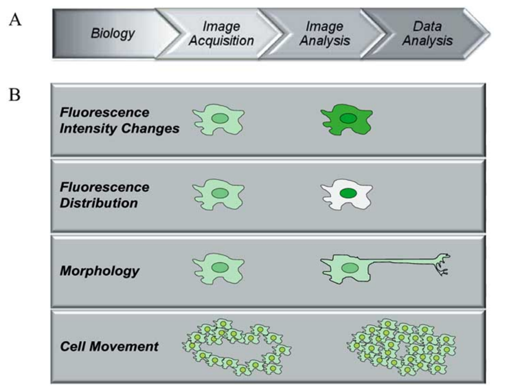 综述：表型药物发现（PDD）篇：研发FIC新药的利器 - 知乎