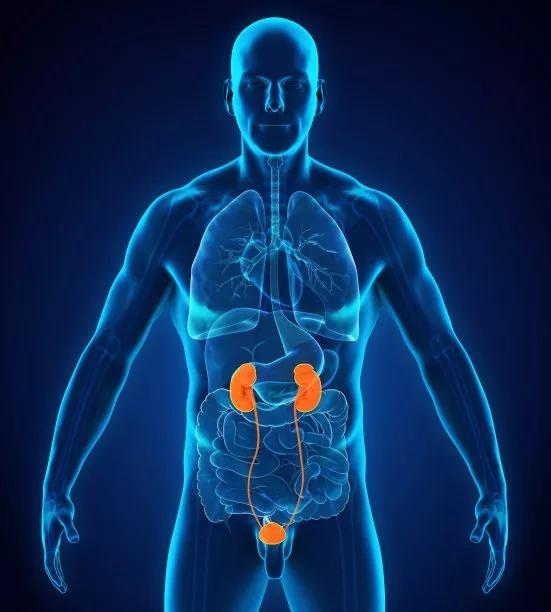 SCI论文官网：BEST PRACTICE & RESEARCH CLINICAL ENDOCRINOLOGY & METABOLISM - 知乎