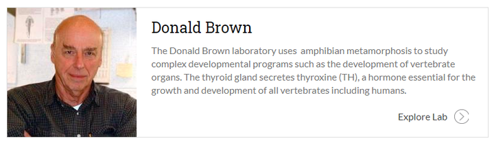 致敬大师Donald D. Brown——转录调控领域的拓荒者 - 知乎