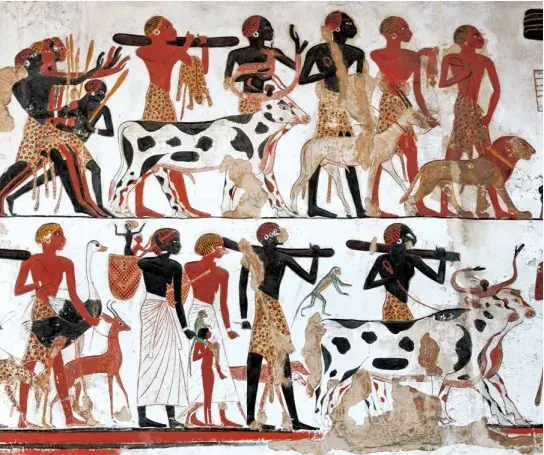 古埃及的壁画和浮雕，为什么多有反视觉经验的“扭麻花人物像”？ - 知乎