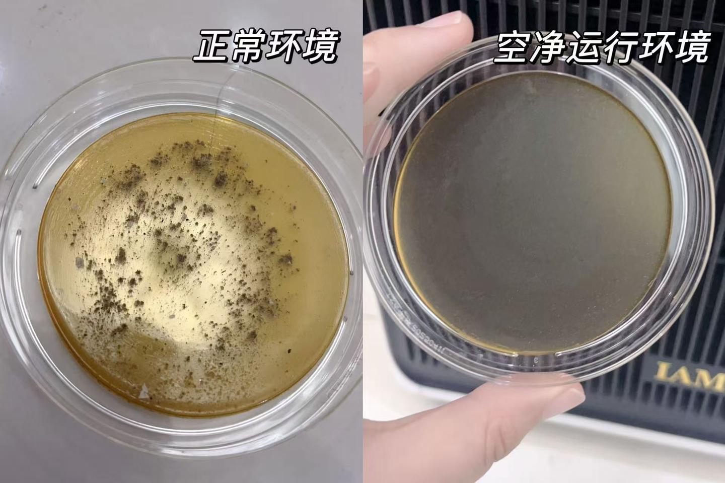 选对空气净化器，滤芯是关键！一文将选购要点喂到嘴边~内含IAM 长效空气净化器M9/无耗材M9 Pro实测，速速围观！ - 知乎