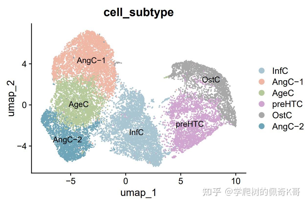 重生之我用单细胞发顶刊系列1：如何绘制Circle-UMAP ？ - 知乎