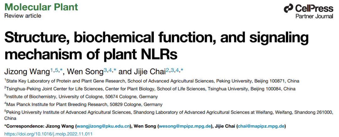 Mol Plant | 柴继杰教授综述植物NLRs的结构、生化功能及信号传导机制 - 知乎