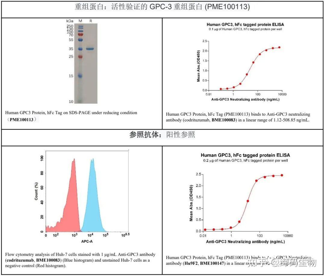 肝癌细胞治疗领域的宠儿GPC3 - 知乎