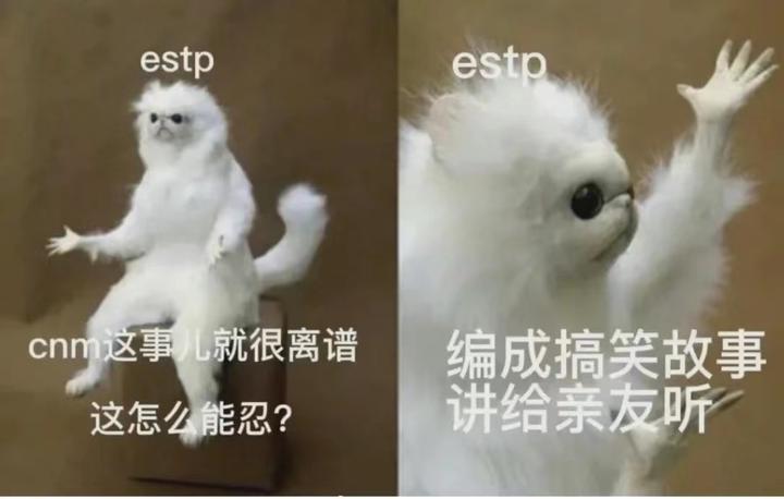 Estp型人格解析 知乎