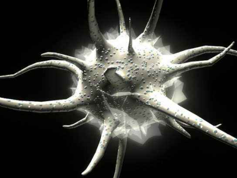 DC细胞培养及分化-细胞因子篇 - 知乎