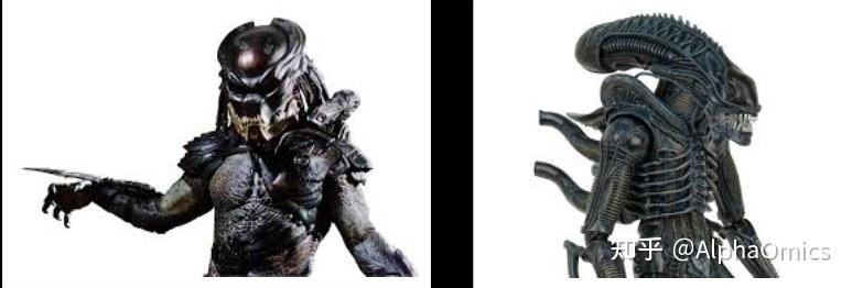 深度学习pytorch实操｜如何调整学习率和设置早停 - 知乎