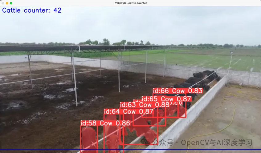 使用 YOLO 和无人机镜头创建牛群计数项目 - 知乎