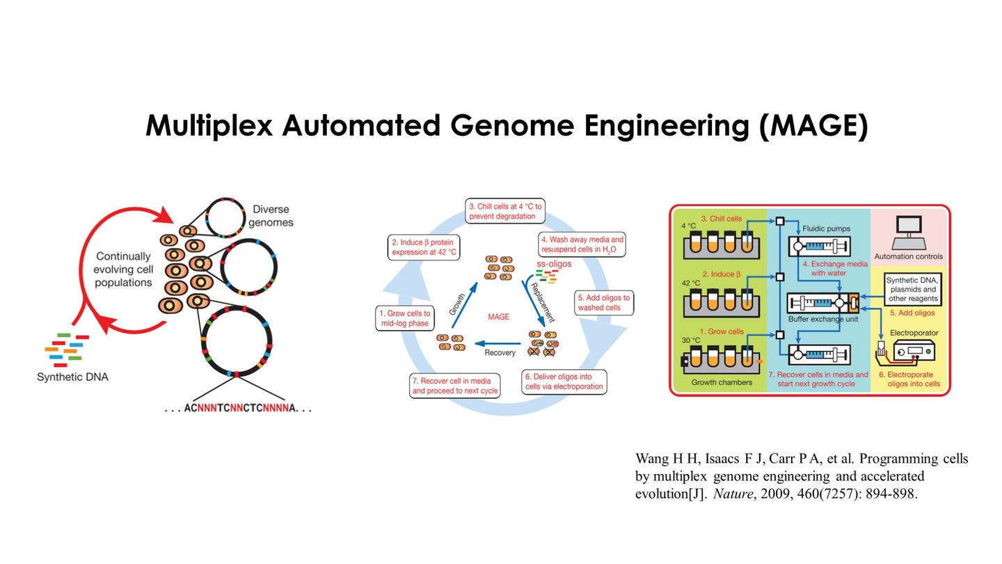 穿越时空，与五位科学家共话合成生物学 - 知乎