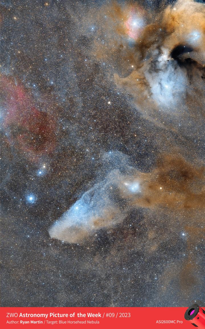 ZWO 2023年 ASIWEEK 天文摄影作品展第9期 — IC 4592（蓝马头星云） - 知乎