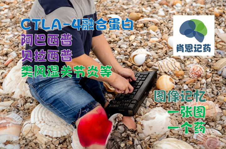 记住所有FDA生物药 | CTLA-4融合蛋白 | 阿巴西普、 belatacept 贝拉西普 | 类风湿关节炎等自身免疫病 - 知乎