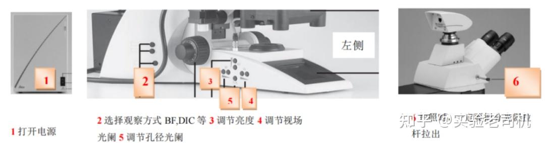 手把手教学——Leica DM6B正置双目生物显微镜操作步骤 - 知乎