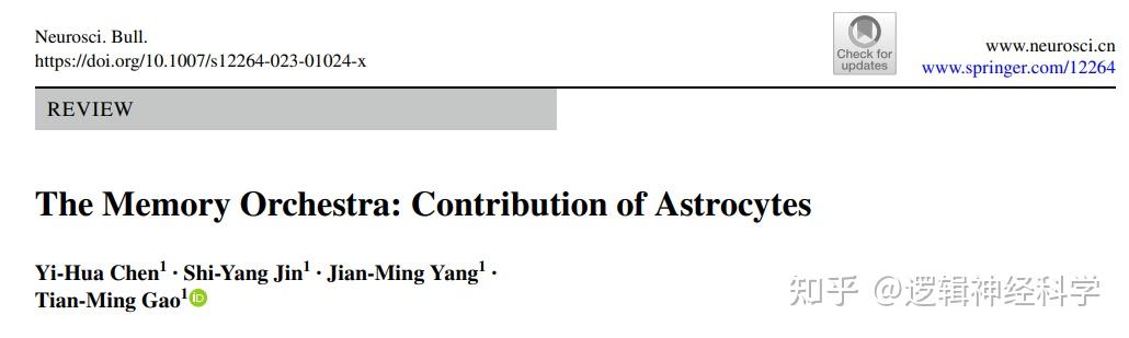 Neurosci Bull 综述︱南方医科大学高天明院士团队评述星形胶质细胞在记忆中的作用 - 知乎