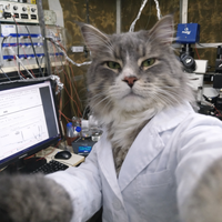 以小鼠为模型研究认知控制神经环路机制：优势与局限 - 知乎