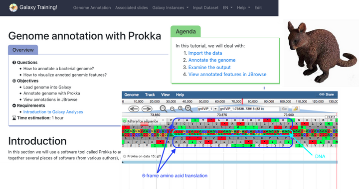 原核生物基因组快速注释——Prokka - 知乎
