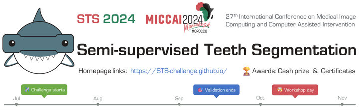 MICCAI STS 2024 挑战赛介绍 - 知乎