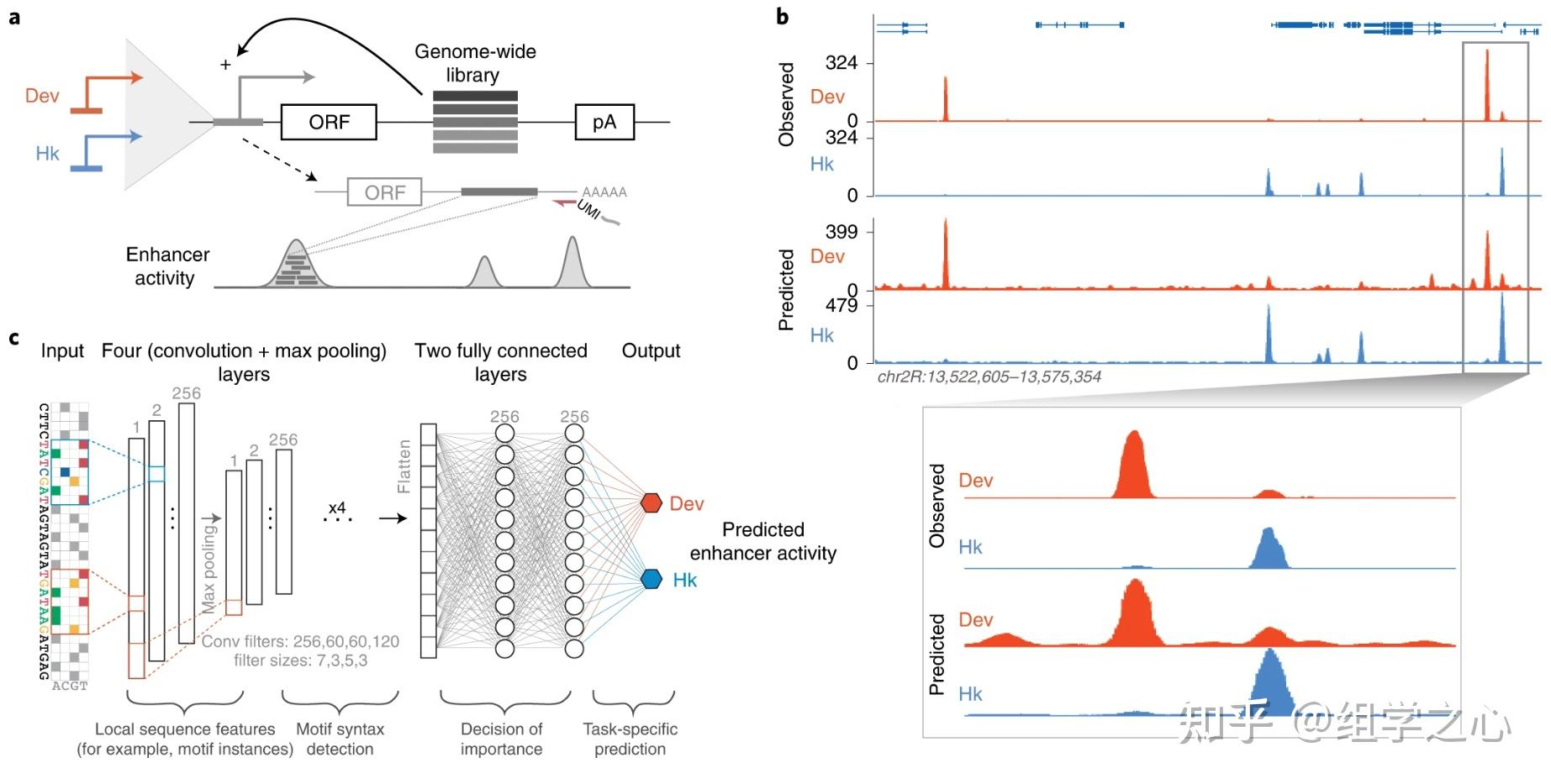 Nat Rev Genet | 如果DNA序列能“说话”？深度学习S2E（序列2表达）模型正在听懂基因组的调控秘密！ - 知乎