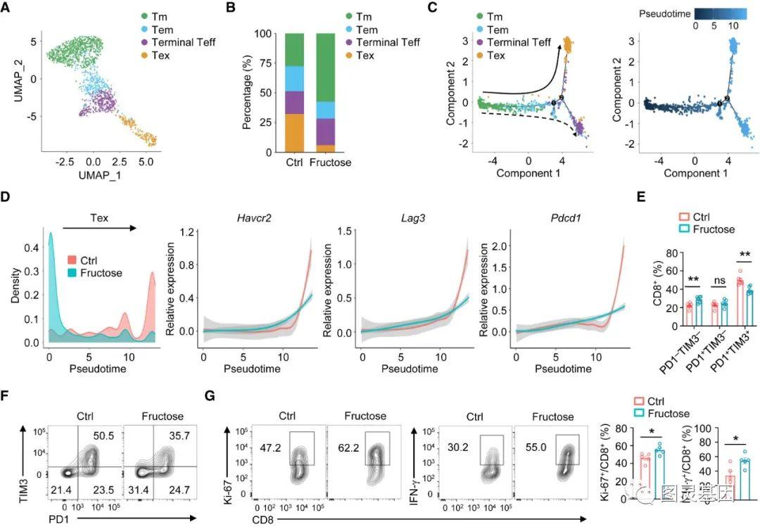 Cell Met ｜ 上海交大邹强团队颠覆性发现：膳食果糖可增强肿瘤免疫应答 - 知乎