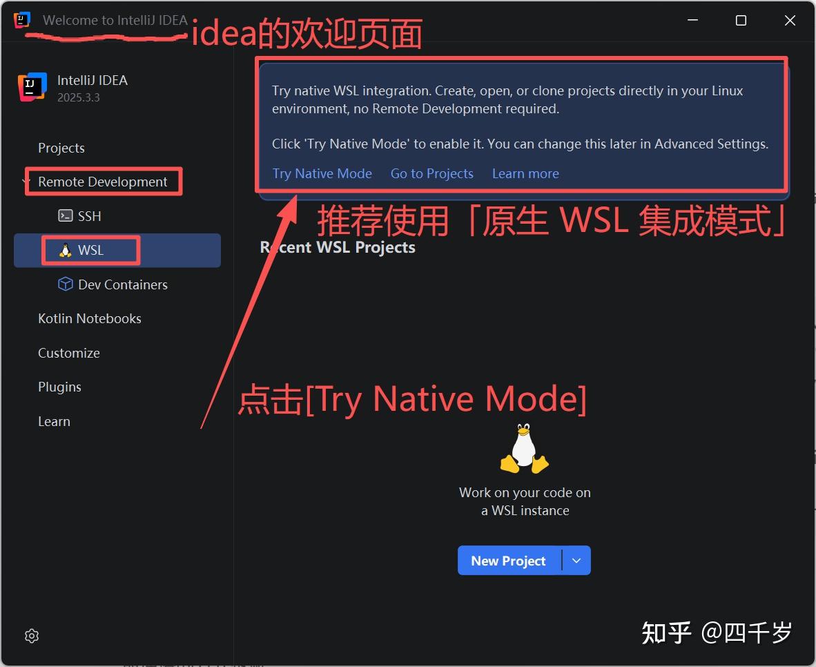 踩坑无数总结：IDEA+WSL 连接、配置、运行全攻略 - 知乎