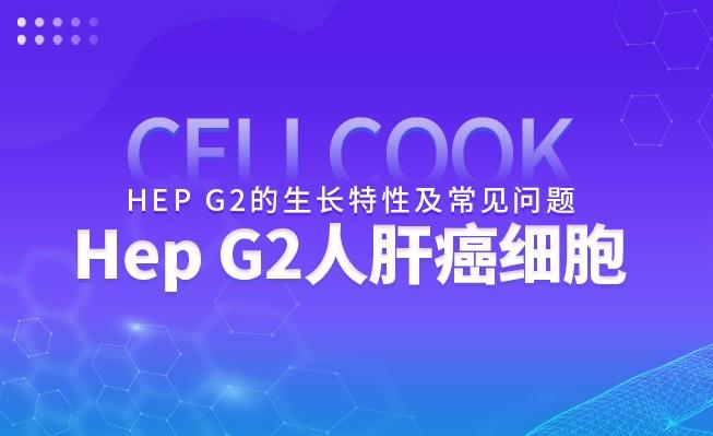 赛库细胞学堂|Hep G2人肝癌细胞的生长特性及常见问题 - 知乎
