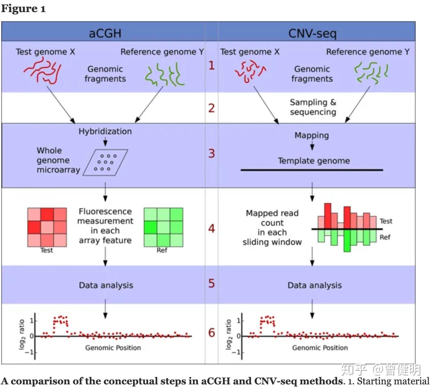 基因型的log2ratio测序深度散点图（CNV-seq 优于aCGH ） - 知乎