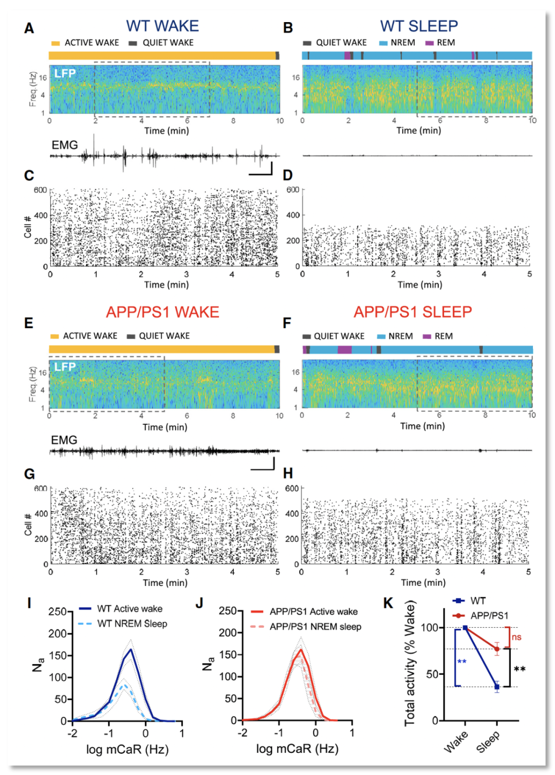 睡眠分析 | Lunion Stage® 功能更新：增加爆发抑制率指标计算功能 - 知乎