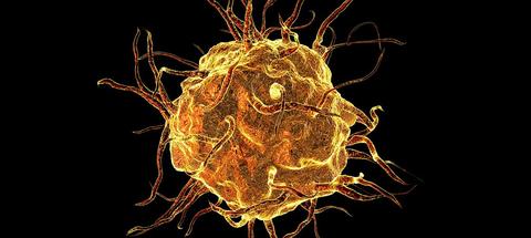 Cancer Discov | 解码高密度多核巨细胞抗癌原理 - 知乎