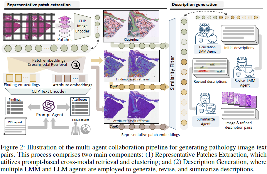 （2025|ICLR|浙大&西湖大学，LLaVA，CLIP）PATHGEN-1.6M：通过多代理协作生成 1.6M 病理图文对 - 知乎