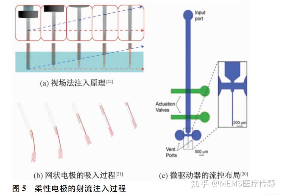 柔性神经电极植入策略 - 知乎