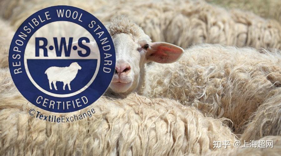 RWS认证申请全流程详解 - 知乎