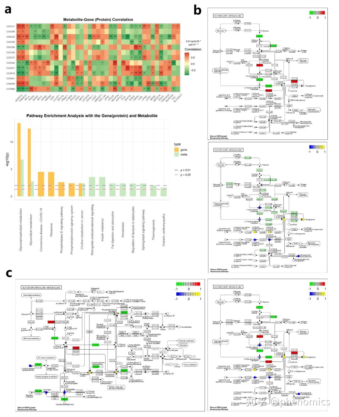 Phenomics | 上海生研院与北京携云启源合作开发人类脂代谢相关蛋白和脂质数据资源平台DBLiPro - 知乎