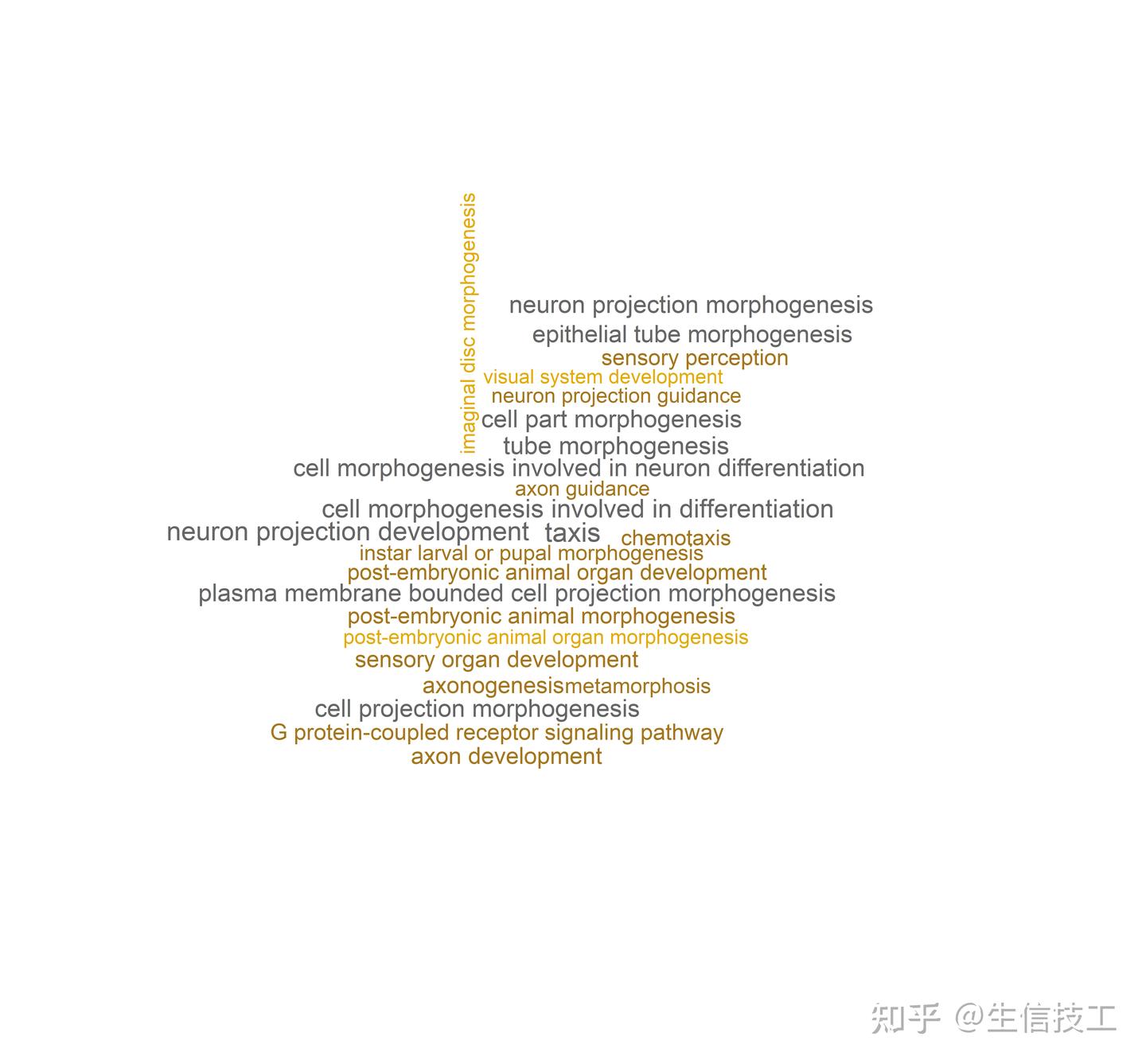 富集分析：（五）clusterProfiler：Visualization - 知乎